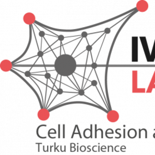 Fast label-free live imaging with FlowVision reveals key principles of ...